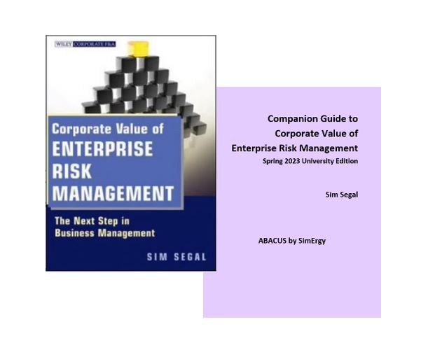 Book & Guide Bundle (DISCOUNT) Corporate Value of Enterprise Risk ...