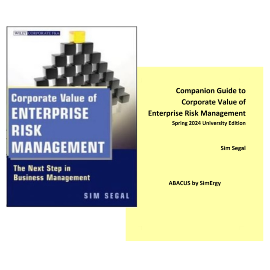 ERM Book – University Edition – SimErgy